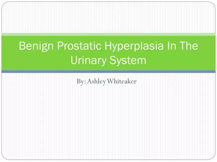 PPT - Benign Prostatic Hyperplasia In The Urinary System PowerPoint ...