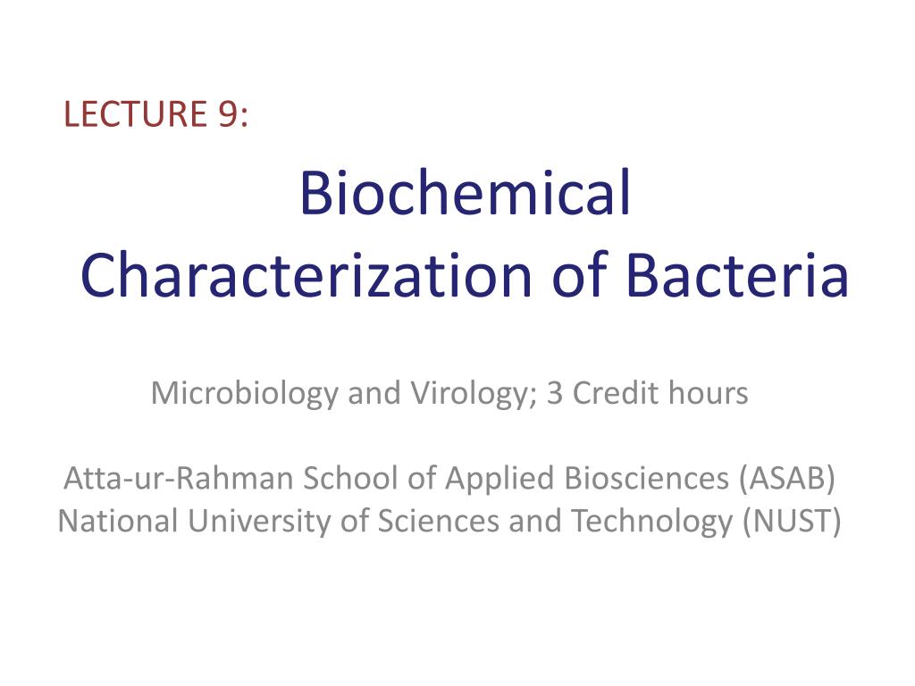 PPT - Biochemical Characterization of Bacteria PowerPoint Presentation ... PPT - Biochemical Characterization of Bacteria PowerPoint Presentation ...
