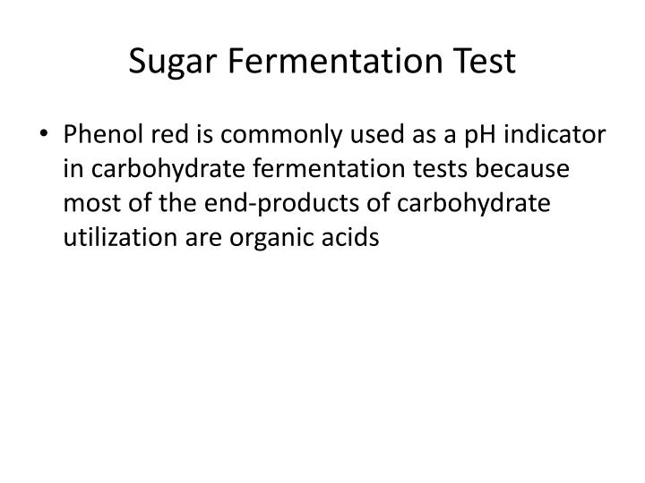 PPT - Biochemical Characterization of Bacteria PowerPoint Presentation ...