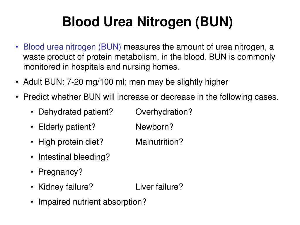 PPT - Chapter 17 Amino Acid Catabolism PowerPoint Presentation, free ...