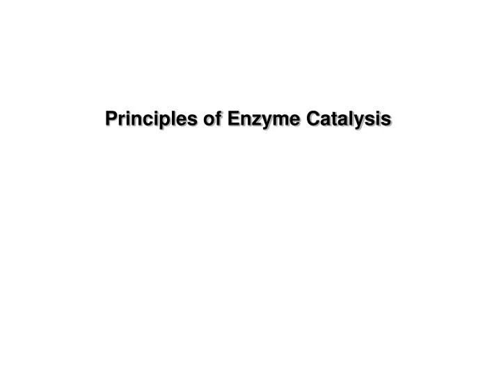 PPT - Principles of Enzyme Catalysis PowerPoint Presentation, free ...
