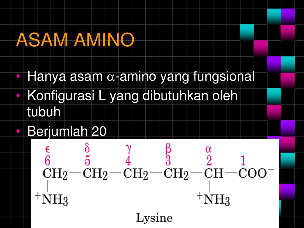PPT - ASAM AMINO DAN PROTEIN PowerPoint Presentation, free download ...