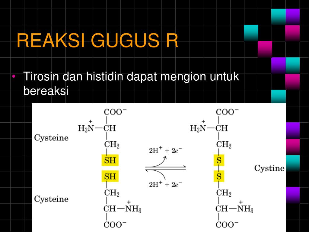 PPT - ASAM AMINO DAN PROTEIN PowerPoint Presentation, free download ...