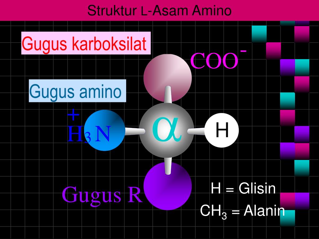 PPT - ASAM AMINO DAN PROTEIN PowerPoint Presentation, free download ...