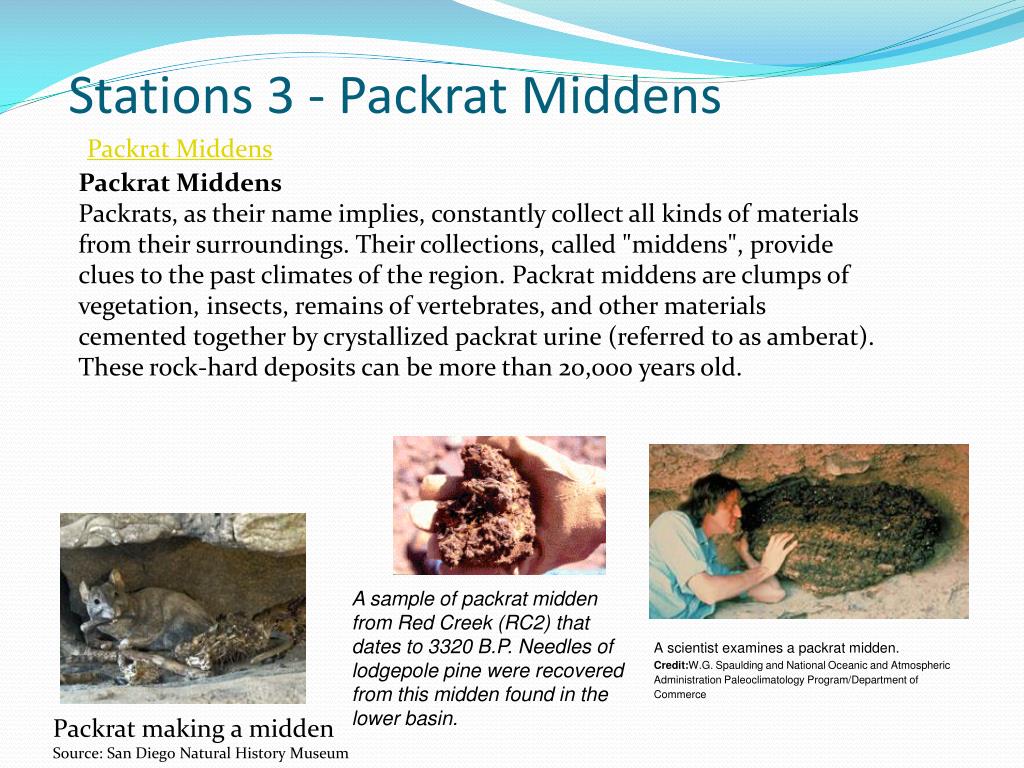 PPT - How do we know about the climate 150,000 years ago? PowerPoint ...