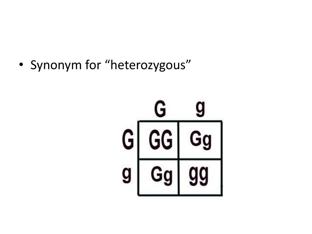 PPT - 2 - Meosis/Mitosis 27- Genetics/Heredity 65- DNA 84- Protein ...