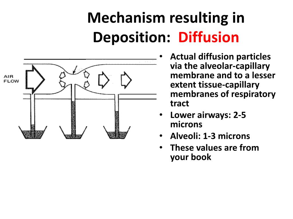 PPT - Respiratory Pharmacology Week 2 Aerosol Therapy PowerPoint ...