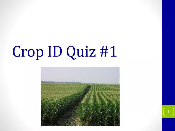 PPT - Crop ID Quiz #1 PowerPoint Presentation, free download - ID:1901644