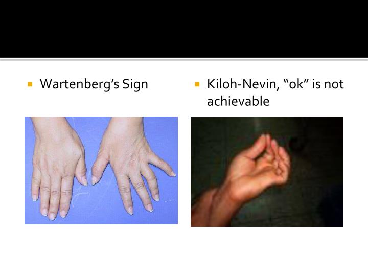 PPT - Elbow & Forearm Exam PowerPoint Presentation - ID:1901758