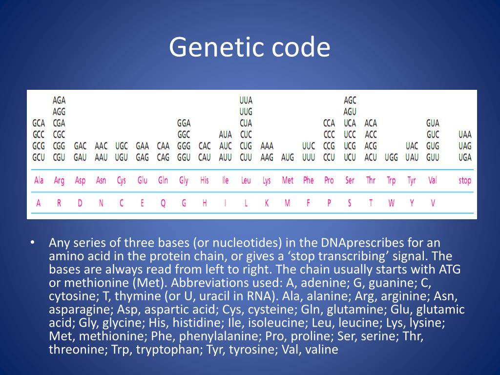 PPT - Plant Protein DNA &RNA PowerPoint Presentation, free download ...