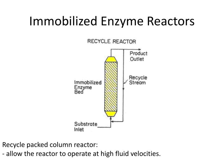 PPT - Immobilized Enzymes Reactors PowerPoint Presentation - ID:1902580
