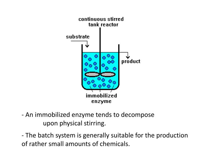 PPT - Immobilized Enzymes Reactors PowerPoint Presentation - ID:1902580