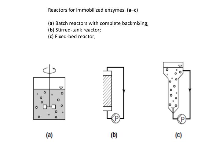 PPT - Immobilized Enzymes Reactors PowerPoint Presentation - ID:1902580