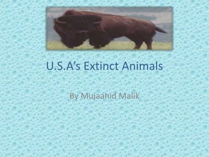 PPT - U.S.A’s Extinct Animals PowerPoint Presentation, free download ...