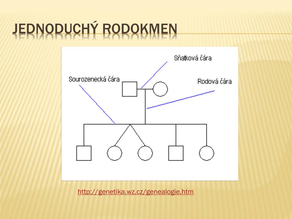 PPT - Název Rodokmen Šablona CZ.1.07/1.4.00/21.2698 Poř.číslo Autor ...
