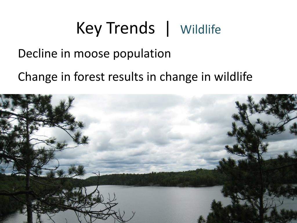PPT - Northeast Landscape Plan Update Trends Exploration PowerPoint ...