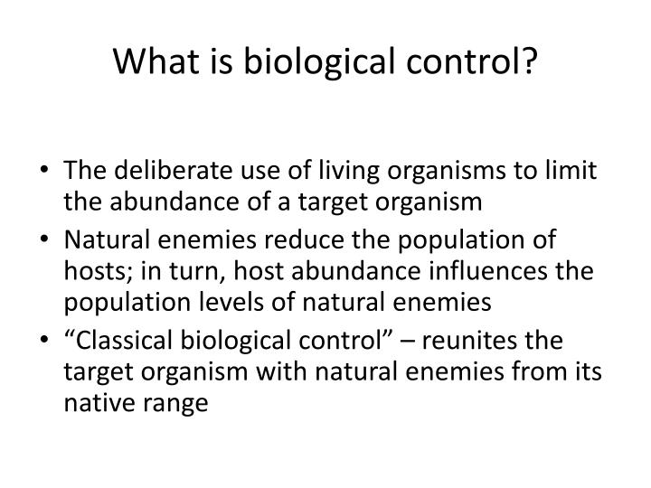 PPT - FHTET Biological Control Program PowerPoint Presentation - ID:1903790