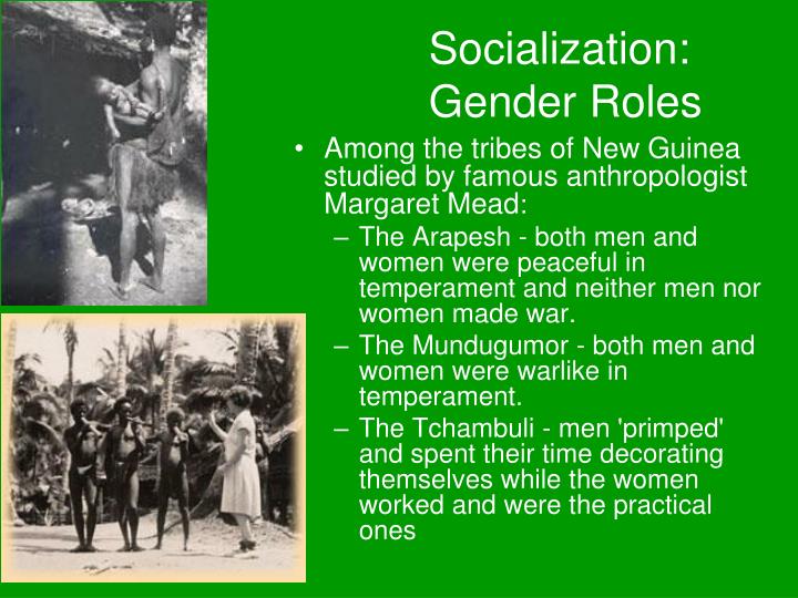 PPT - Sociology PowerPoint Presentation - ID:1903968
