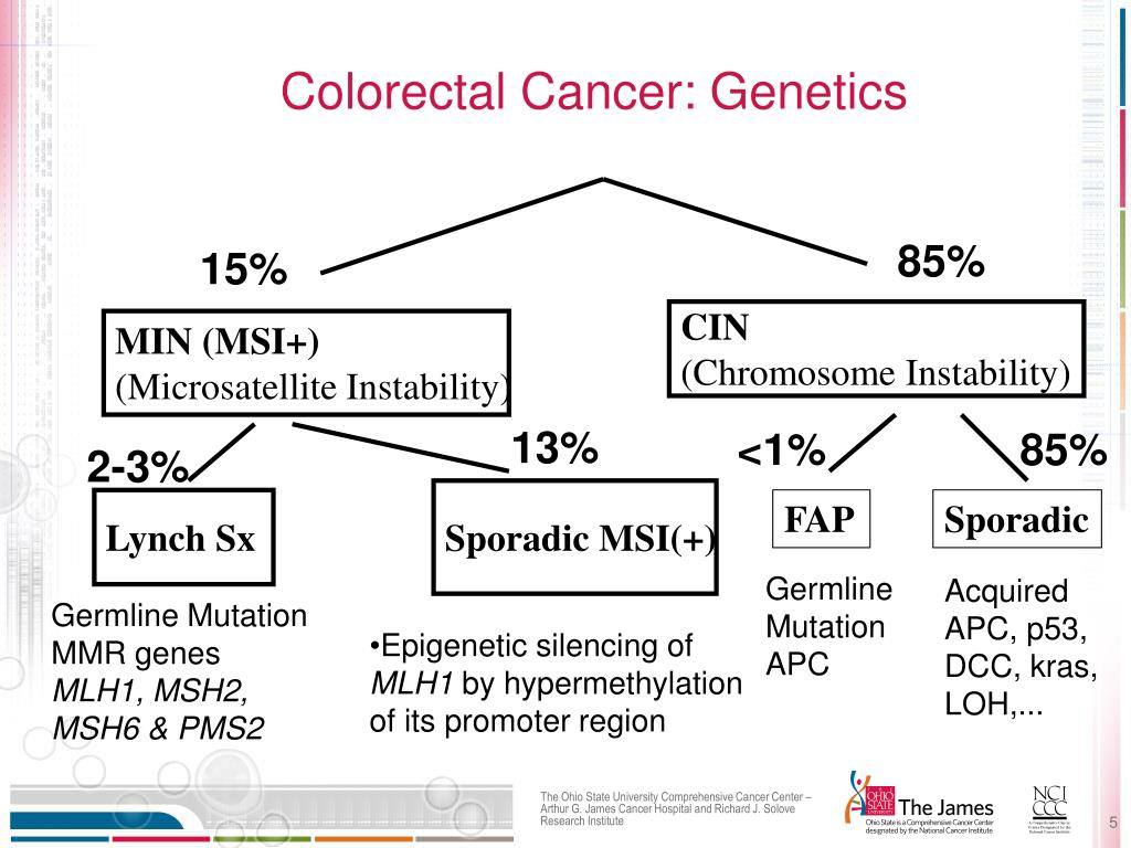PPT - Advances in Colorectal Cancer: Genetics, Prevention and Progress ...