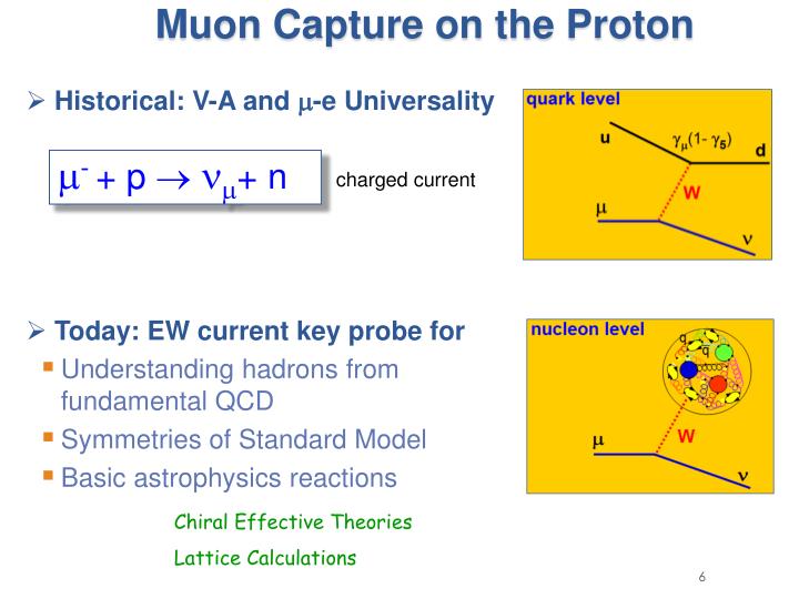 PPT - Precision Muon Capture on the Proton and Very Light Nuclei ...