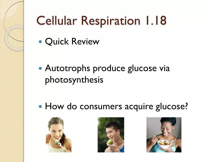 PPT - Cellular Respiration 1.18 PowerPoint Presentation, free download ...
