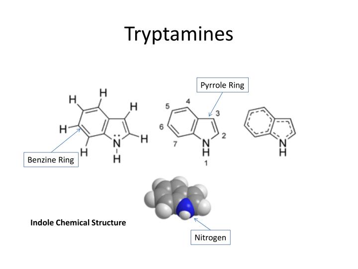 PPT - Tryptamines PowerPoint Presentation - ID:1904210