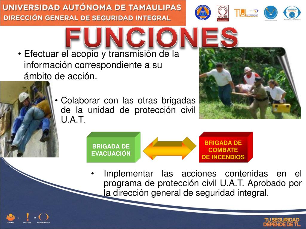 cicatriz Comprimido elegante responsabilidades de proteccion civil ... cicatriz Comprimido elegante responsabilidades de proteccion civil ...