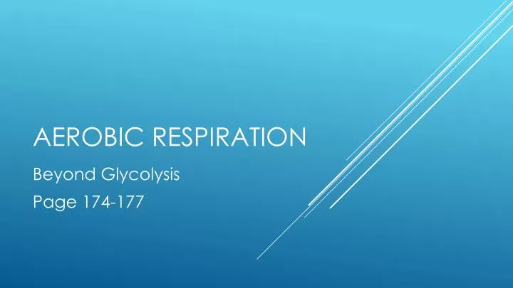 PPT - Aerobic Respiration PowerPoint Presentation, free download - ID ...