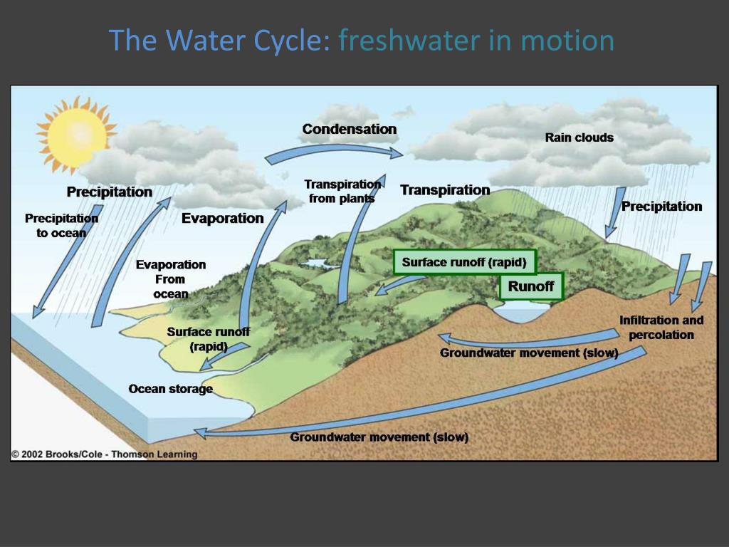 PPT - Conservation Eco Hydrology Series Basics of watershed hydrology ...