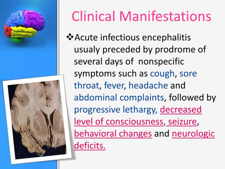 PPT - ENCEPHALITIS PowerPoint Presentation - ID:1904707