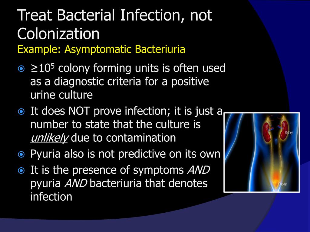 PPT - Bugs and Drugs: Update on Antimicrobial Therapy PowerPoint ...