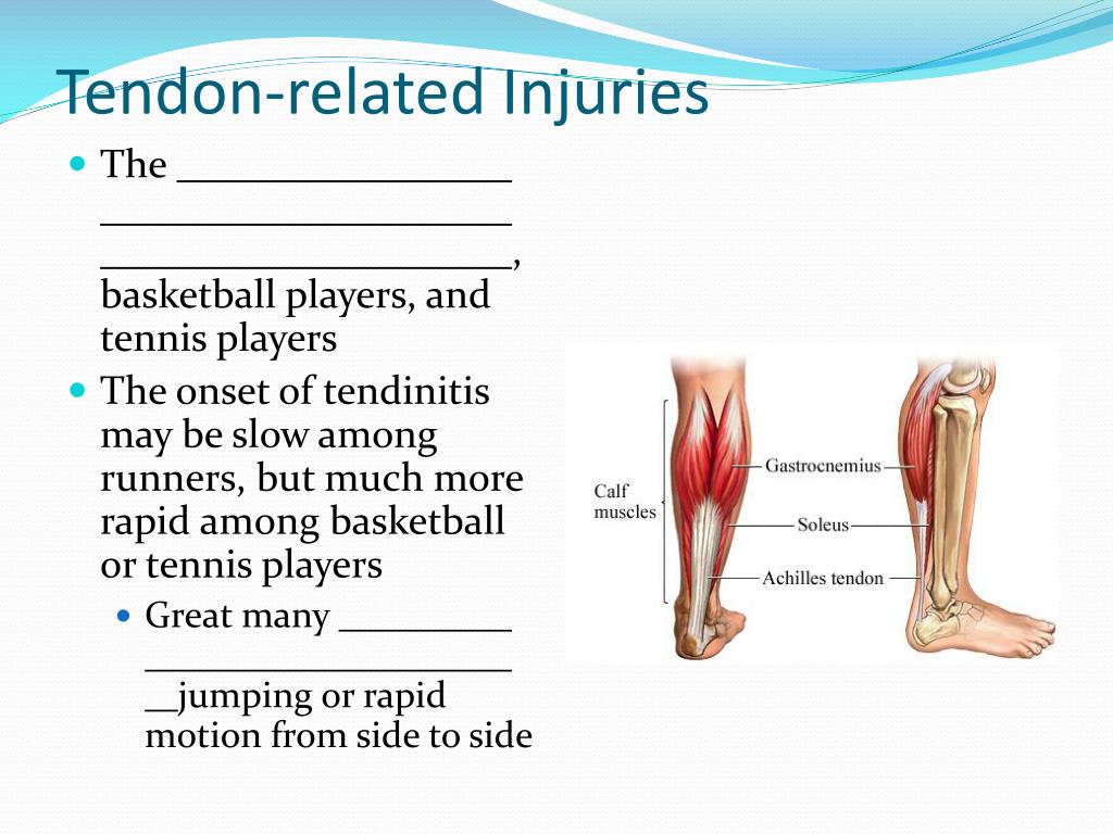 PPT - Injuries to the Lower Leg, Ankle, and Foot PowerPoint ...