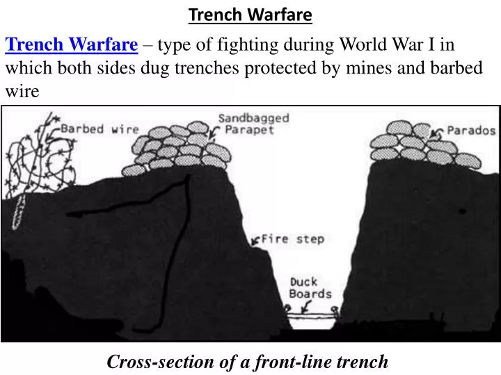 PPT - Trench Warfare PowerPoint Presentation, free download - ID:1905158