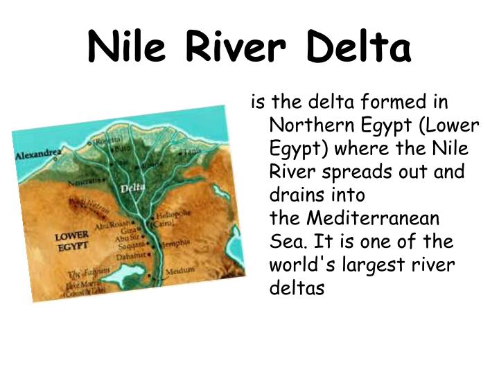 PPT - 6 th Grade Social Studies PowerPoint Presentation - ID:1905315