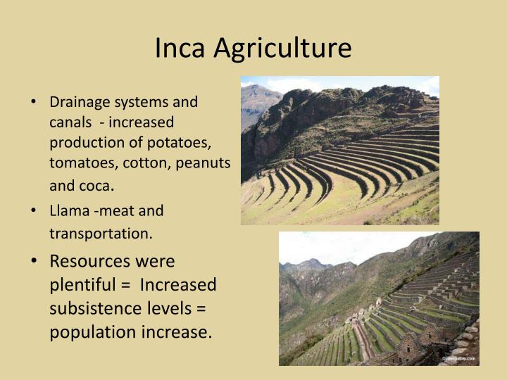 PPT - Inca Empire PowerPoint Presentation - ID:1905868