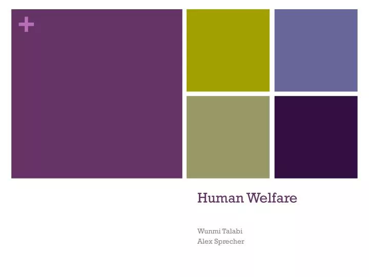 PPT - Human Welfare PowerPoint Presentation, free download - ID:1906553