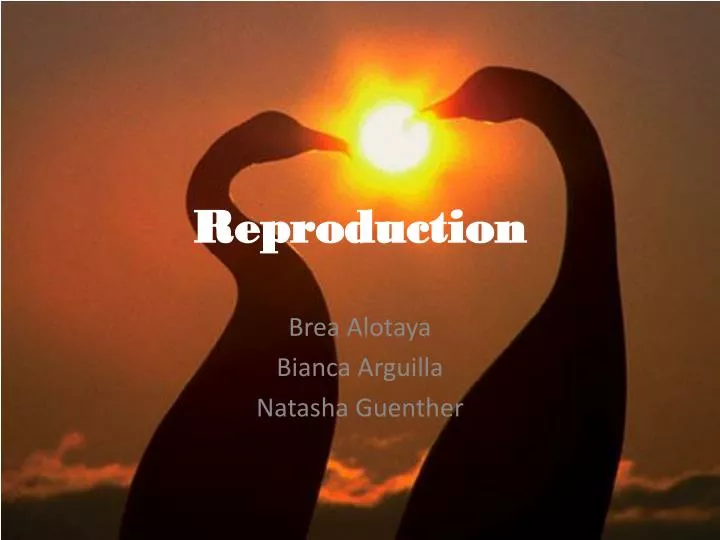 PPT - Reproduction PowerPoint Presentation, free download - ID:1906767