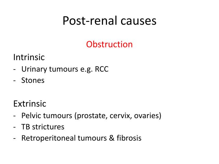 PPT - Acute kidney injury PowerPoint Presentation - ID:1908028