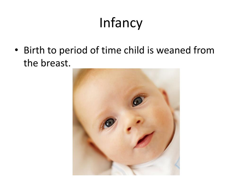 PPT - Human Life Stages PowerPoint Presentation, free download - ID:1908268