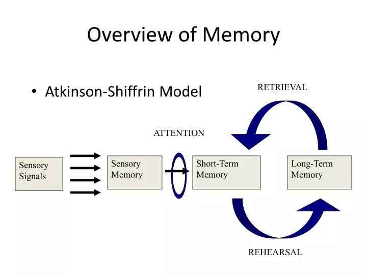 PPT - Overview of Memory PowerPoint Presentation, free download - ID ...