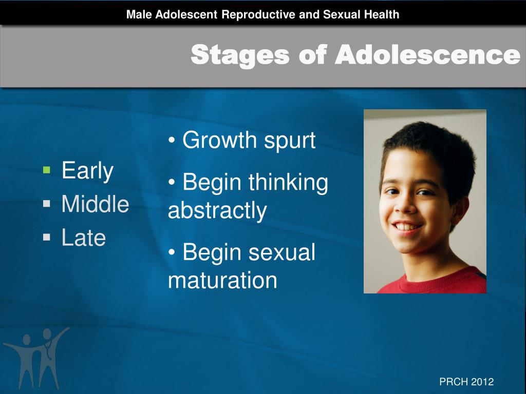 PPT - Male Adolescent Reproductive and Sexual Health PowerPoint ...