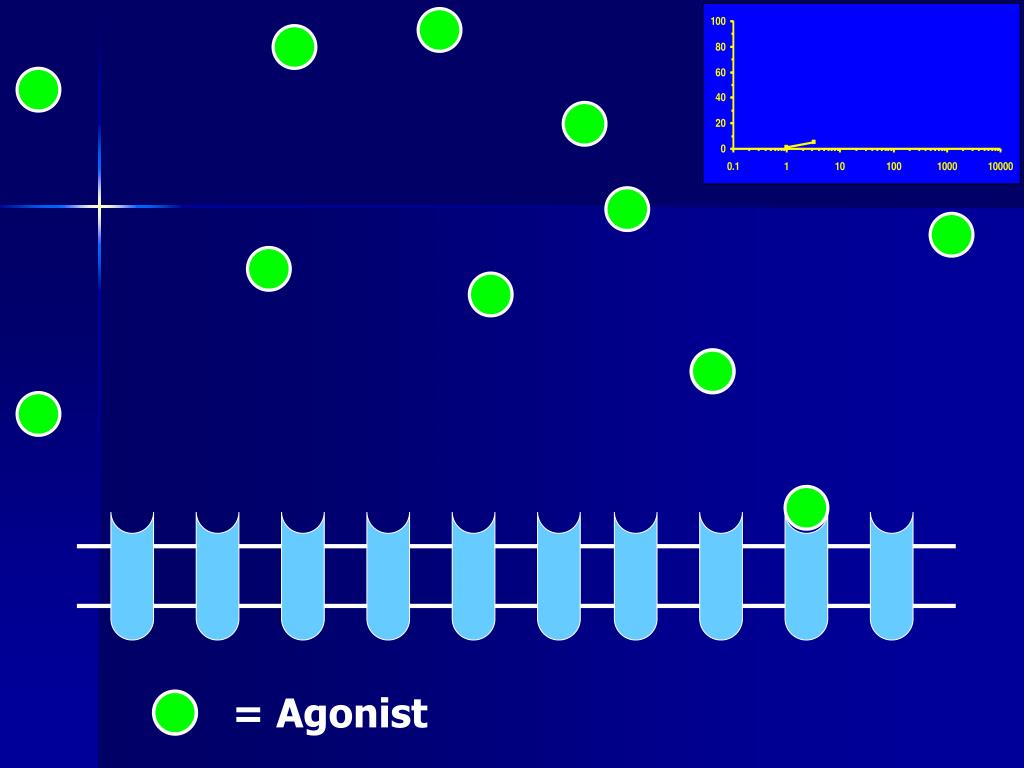 PPT - Principles of Pharmacology: Pharmacodynamics PowerPoint ...