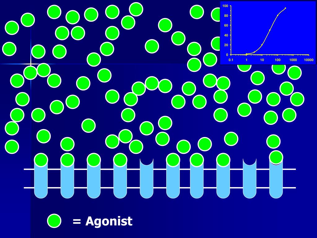 PPT - Principles of Pharmacology: Pharmacodynamics PowerPoint ...