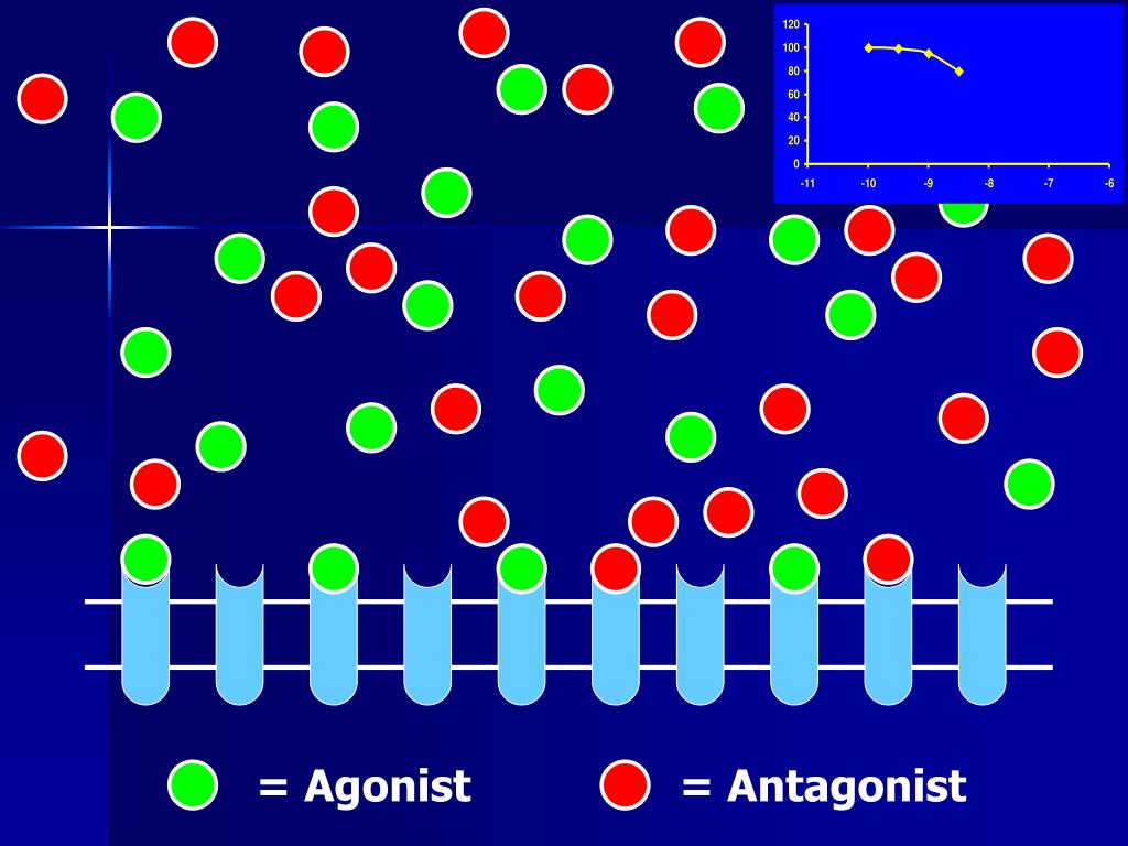 PPT - Principles of Pharmacology: Pharmacodynamics PowerPoint ...