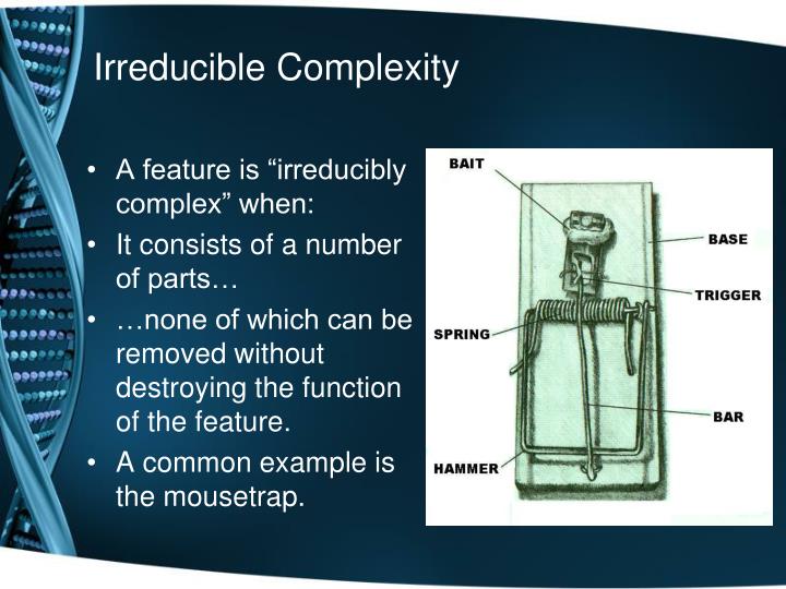 PPT - Evolution and The Bible PowerPoint Presentation - ID:1909229