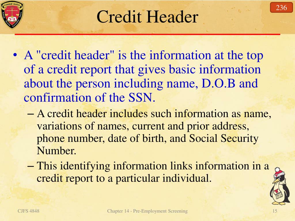 PPT - Contemporary Security Management Chapter 14 Pre-Employment ...