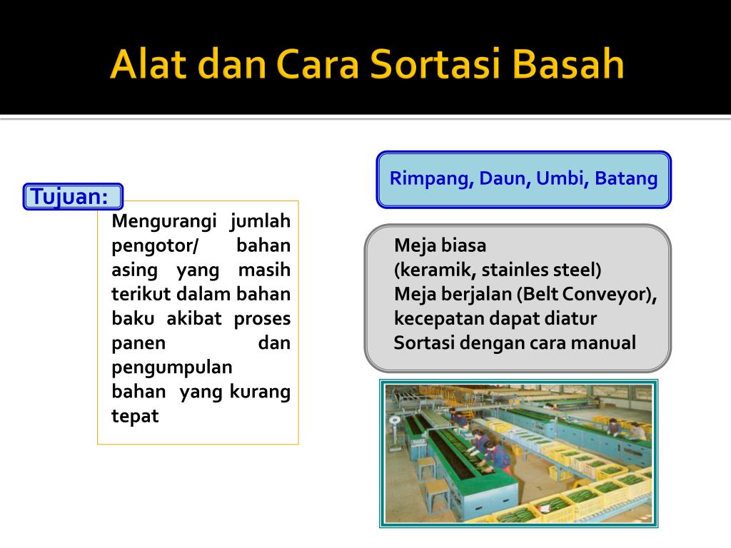PPT - PENANGANAN PASCA PANEN TANAMAN OBAT PowerPoint Presentation, free ...