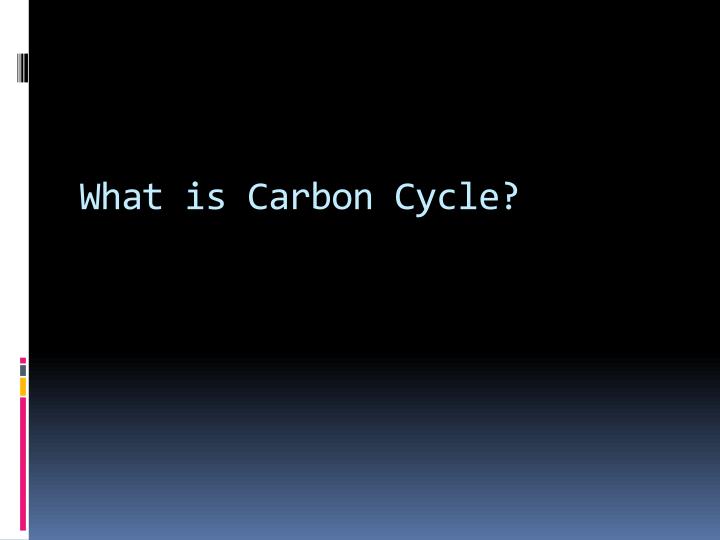 PPT - Carbon Cycle PowerPoint Presentation - ID:1909911