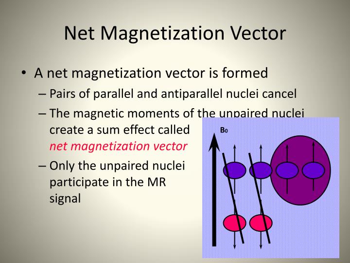 PPT - Basic Concept of MRI PowerPoint Presentation - ID:1910359