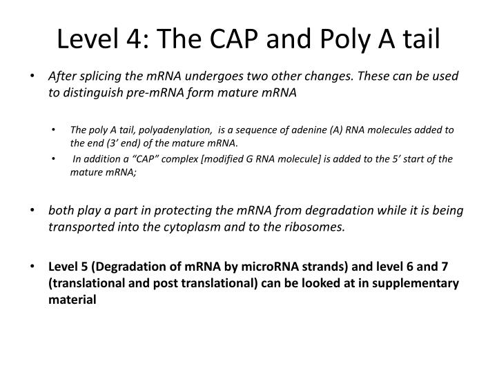 PPT - Regulation of eukaryotic gene sequence expression PowerPoint ...